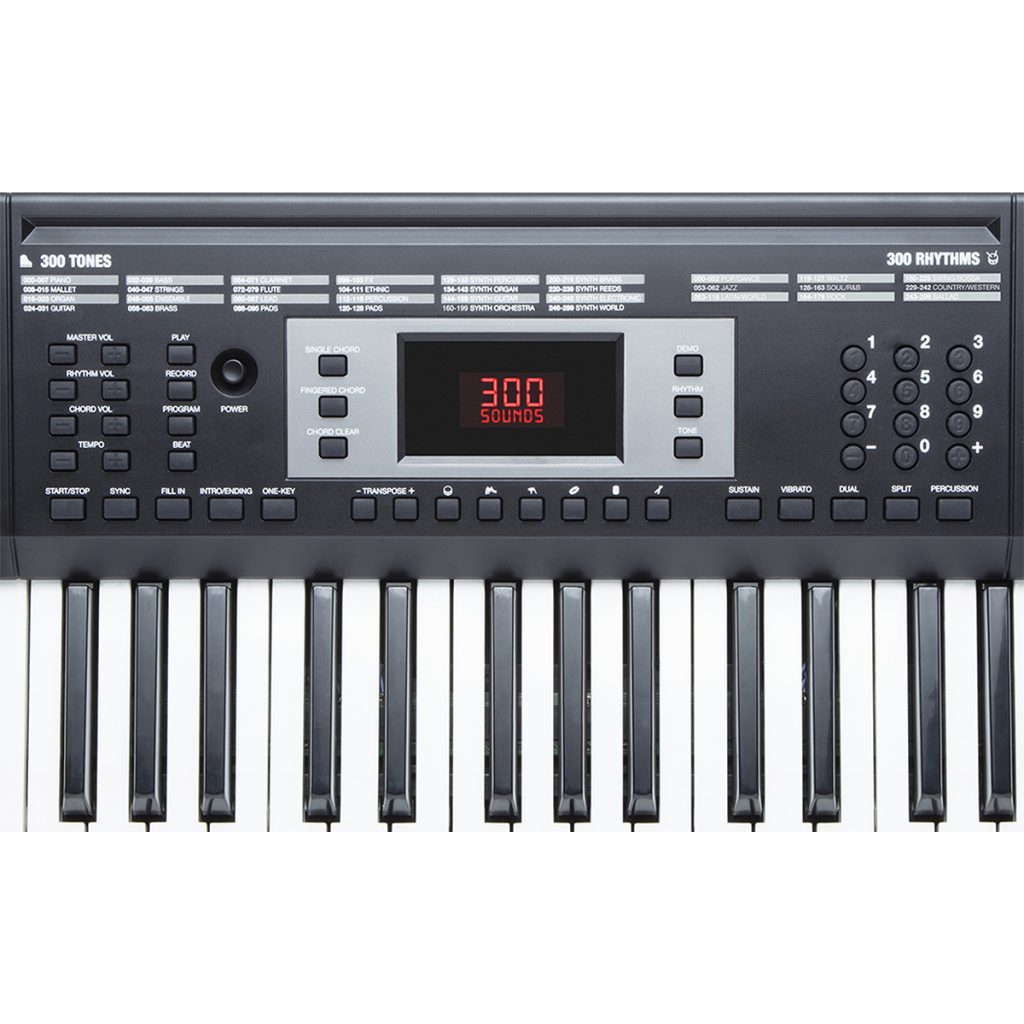 Jual Alesis Melody 61 MKII 61 Key Portable Speaker