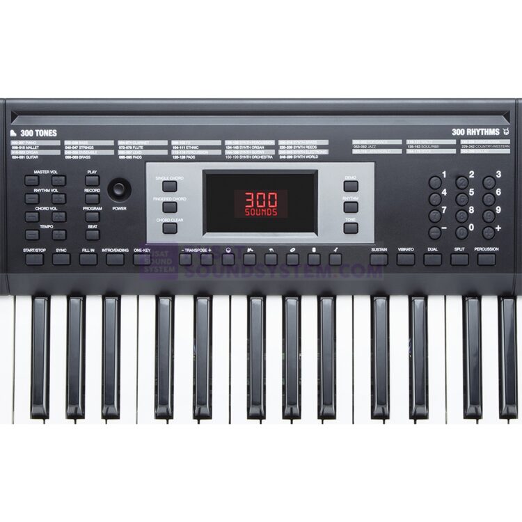 Jual Alesis Melody 61 MKII 61 Key Portable Speaker